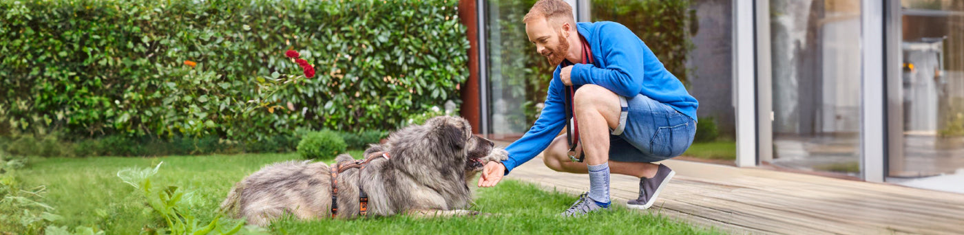 Haglund's Deformity Braces